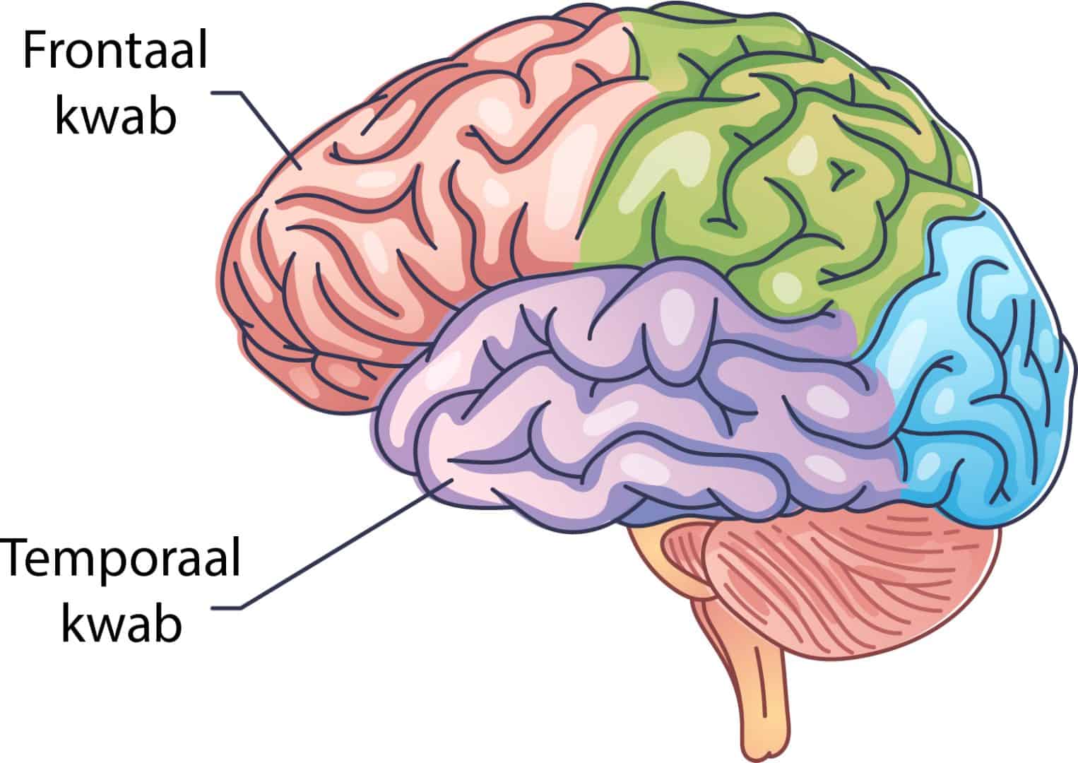 De verschillende soorten dementie | Medicus Online