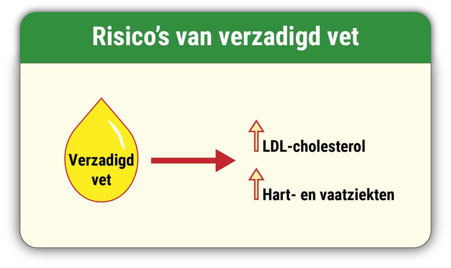 Zorgt het eten van verzadigd vet voor hart- en vaatziekten? | Medicus ...